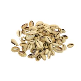 Makola.com : 100 Cut & Polished Kenyan Cowrie Shells